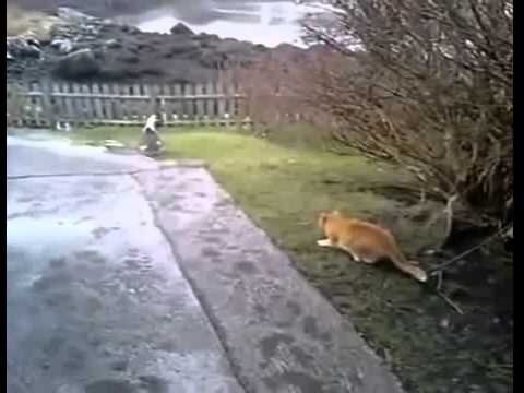 Ни себе ни людям от Loster за 18 мая 2014 на Fishki.net