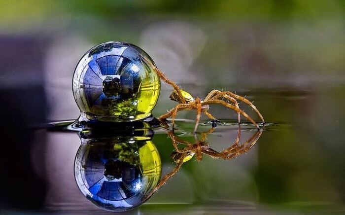 Фотоприкол дня от zubrilov за 10 октября 2012 10:00 на Fishki.net