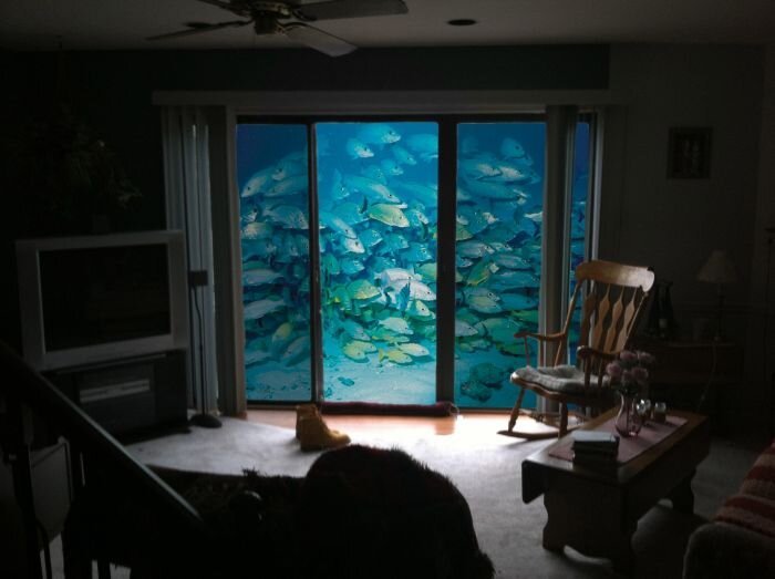 Смешной фотоприкол от zubrilov за 31 октября 2012 10:16 на Fishki.net