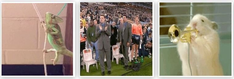 Всячина от kitoff за 22 января 2015 на Fishki.net