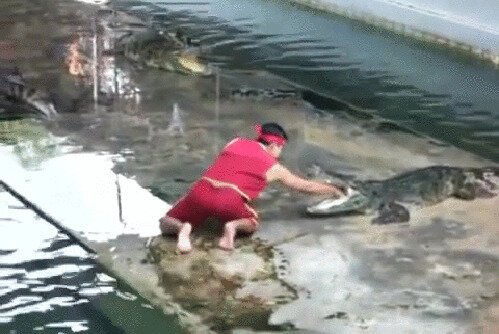 Гифки дня от Miralanim за 19 марта 2016 на Fishki.net