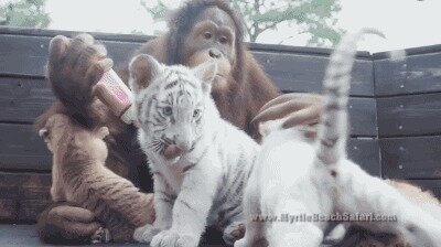 Из солянки от Давно забытый призрак за 19.06.2016 22:52 на Fishki.net