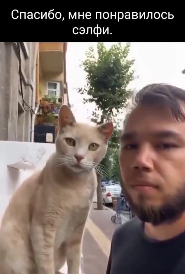 Солянка от Чеширри за 18 мая 2023 15:50 на Fishki.net