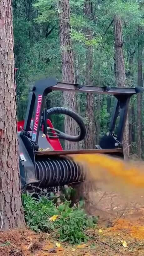 Солянка от Лёлик за 09 июня 2023 09:19 на Fishki.net