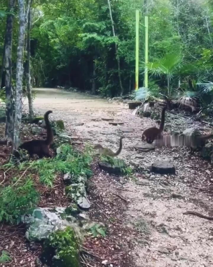 Солянка от Иван Кемеров за 20 октября 2023 13:35 на Fishki.net