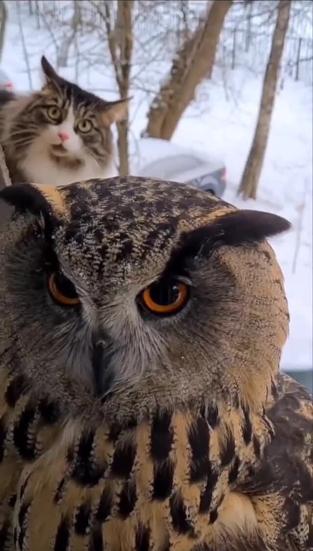 Солянка от Beduin за 09 ноября 2023 10:31 на Fishki.net