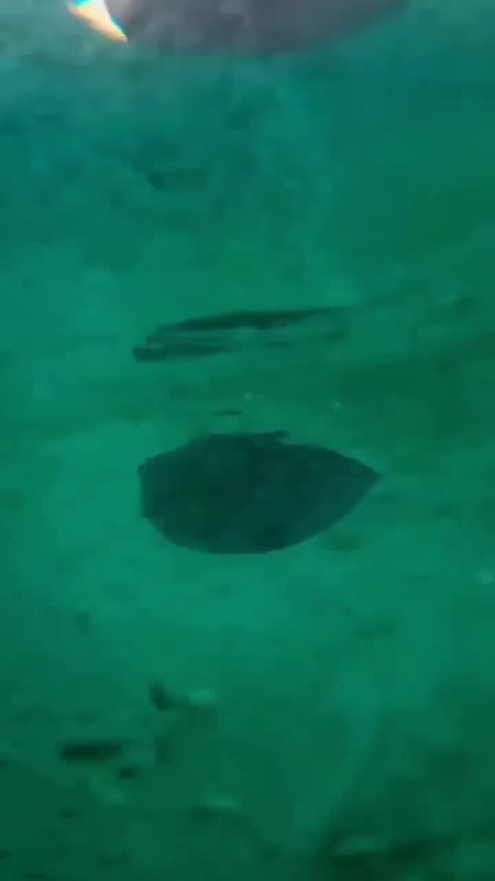 Солянка от koleos72 за 15 апреля 2024 16:55 на Fishki.net