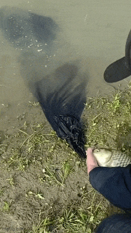 Солянка от RoboCop за 25 апреля 2024 07:35 на Fishki.net