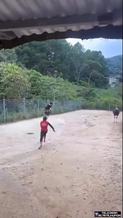 Солянка от О.П. за 07 мая 2024 17:35 на Fishki.net