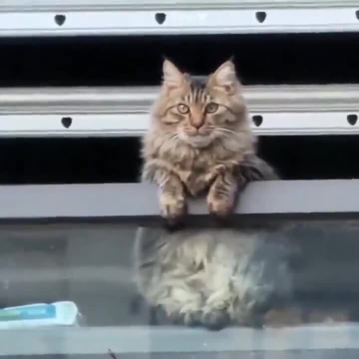 -тэкс, тэкс, тэкс