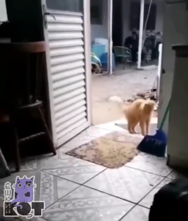 Солянка от Beduin за 04 октября 2024 10:47 на Fishki.net