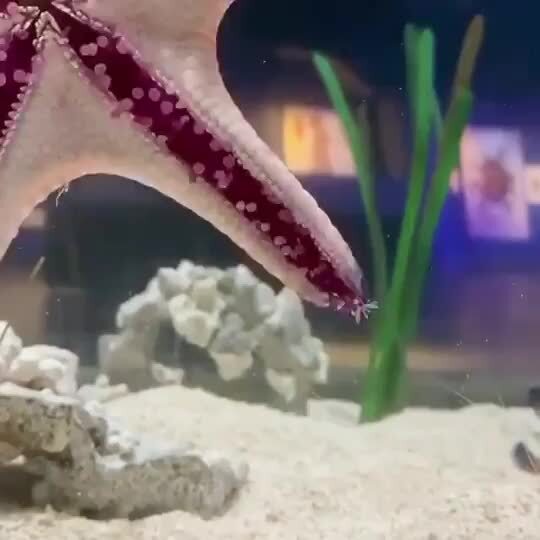 Солянка от MPEG-8 за 01 мая 2025 10:16 на Fishki.net