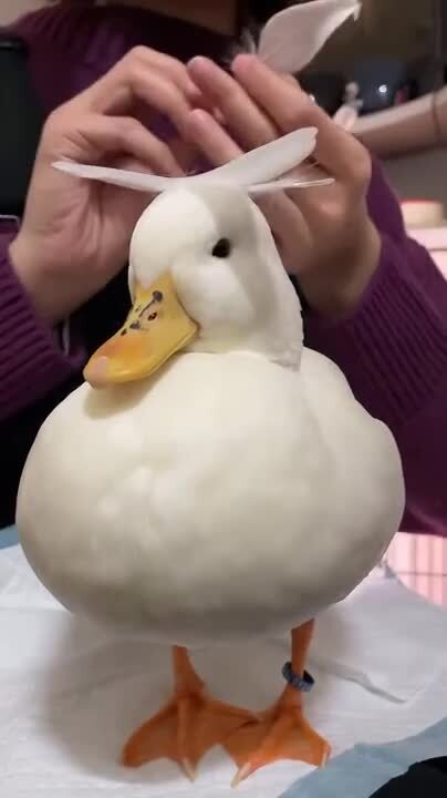 Солянка от Лёлик за 03 мая 2025 13:56 на Fishki.net