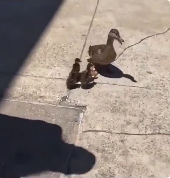 Солянка от Майкл за 22 мая 2025 21:39 на Fishki.net