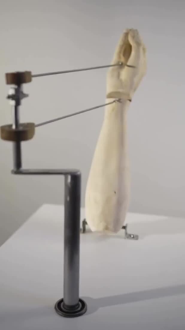 Оригинальная задумка от Аскар Янов за 03 июня 2025 на Fishki.net