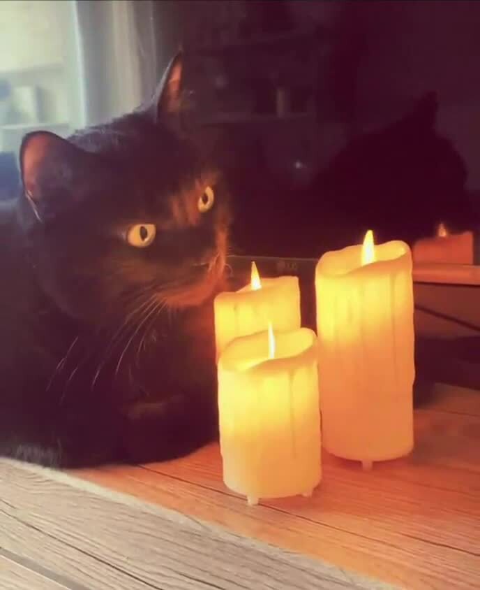 Солянка от Лёлик за 07 июня 2025 22:06 на Fishki.net