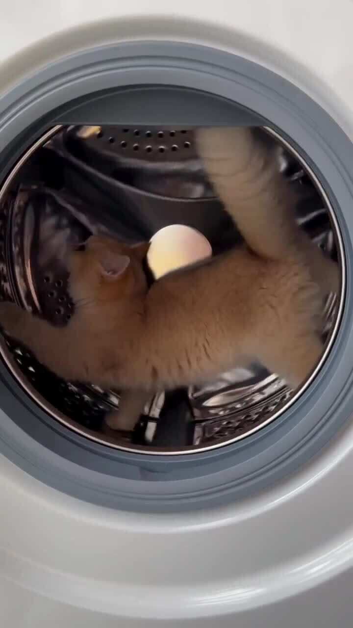 Солянка от Лёлик за 18 июня 2025 11:49 на Fishki.net