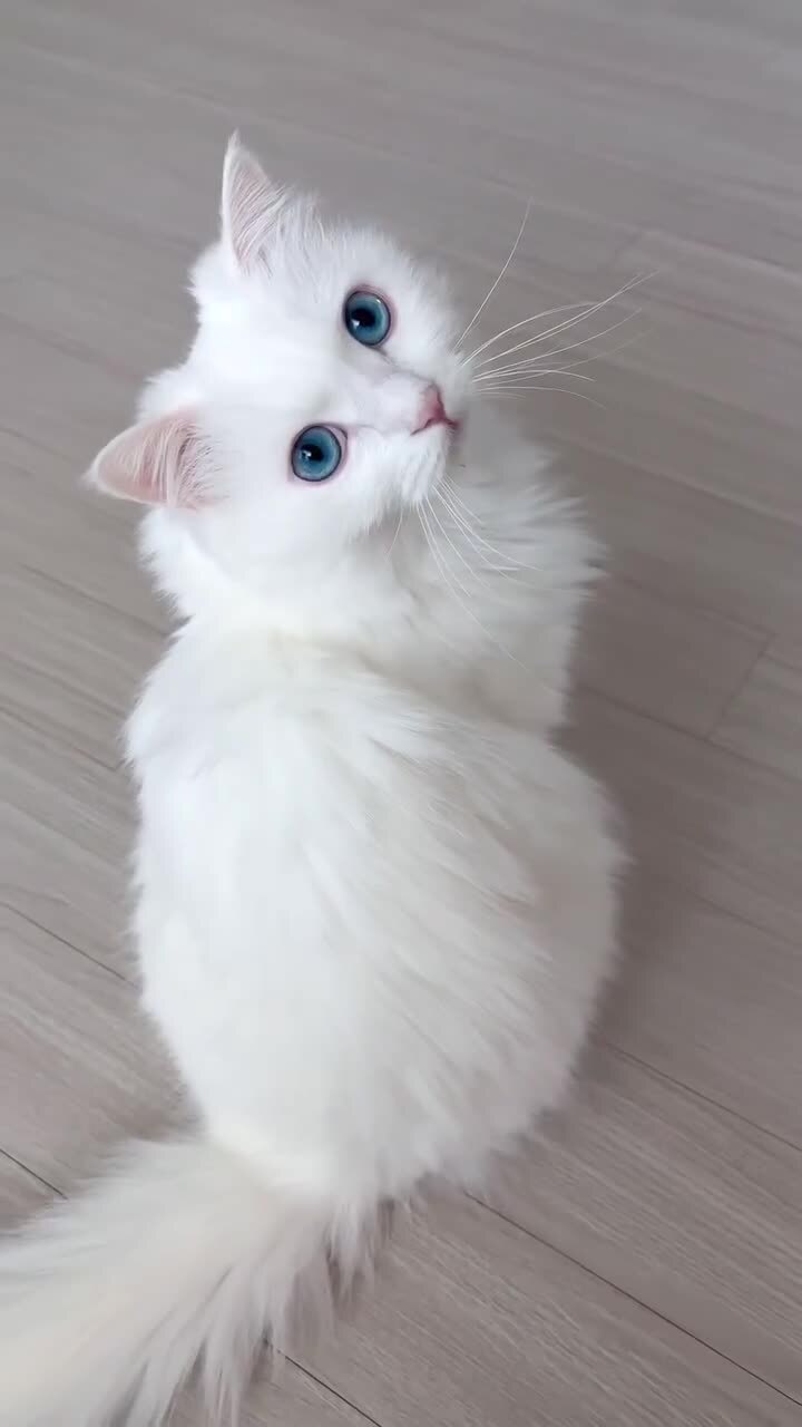 Солянка от Defens за 19 июня 2025 09:29 на Fishki.net