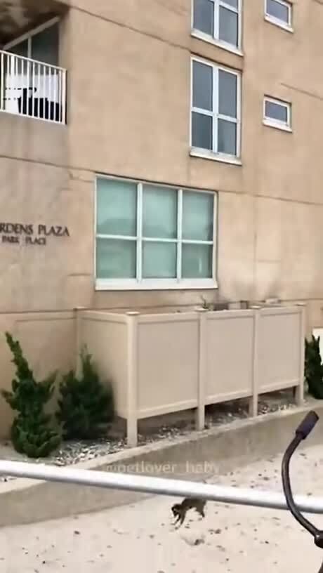 Солянка от Лёлик за 19 июня 2025 09:53 на Fishki.net