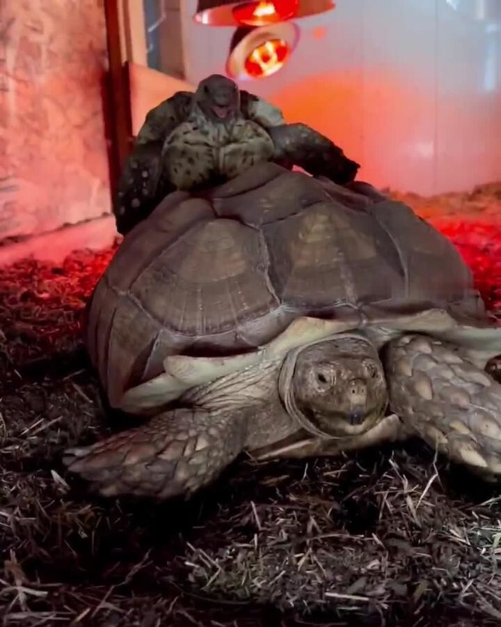 Теперь ты видел всё от Иван Кемеров за 21 июня 2025 на Fishki.net