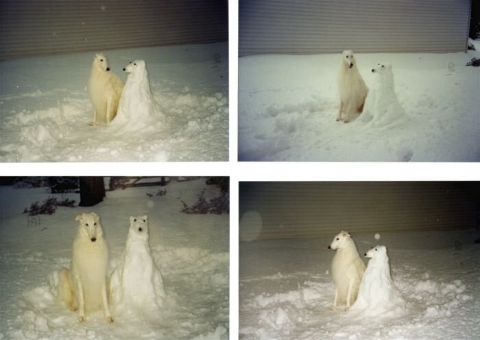 Фотография от zubrilov за 12 июля 2011 09:20 на Fishki.net