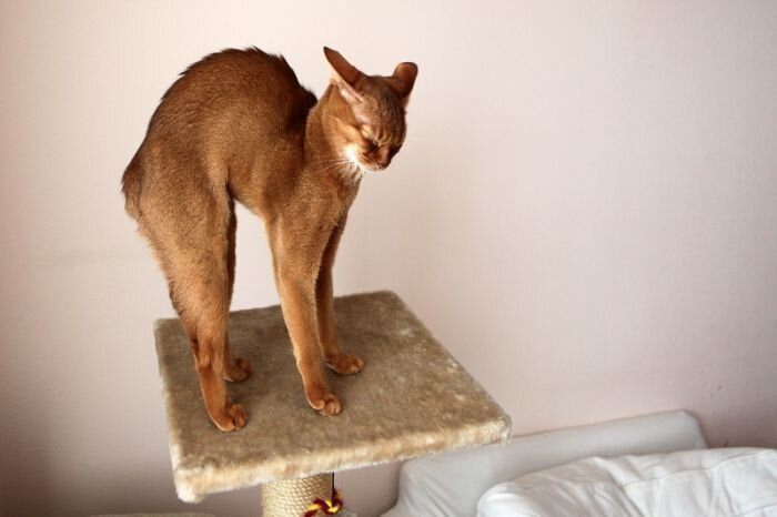 Фотография от zubrilov за 18 июля 2011 09:20 на Fishki.net