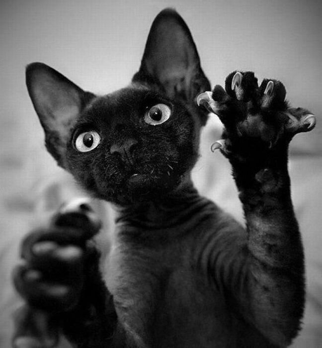 Улетное фото от zubrilov за 21 декабря 2011 09:40 на Fishki.net